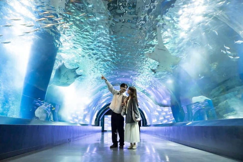 Tokyo: Maxell Aqua Park Shinagawa Direct Entry Ticket - What Visitors Love and Notate