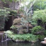 Tokyo Meguro River Private Cultural Tour with Licensed Guide - Who Will Love This Tour?