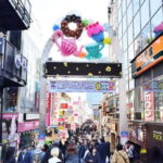 Tokyo: Meiji Shrine & Harajuku History and Pop culture tour - An In-Depth Look at the Tour Experience