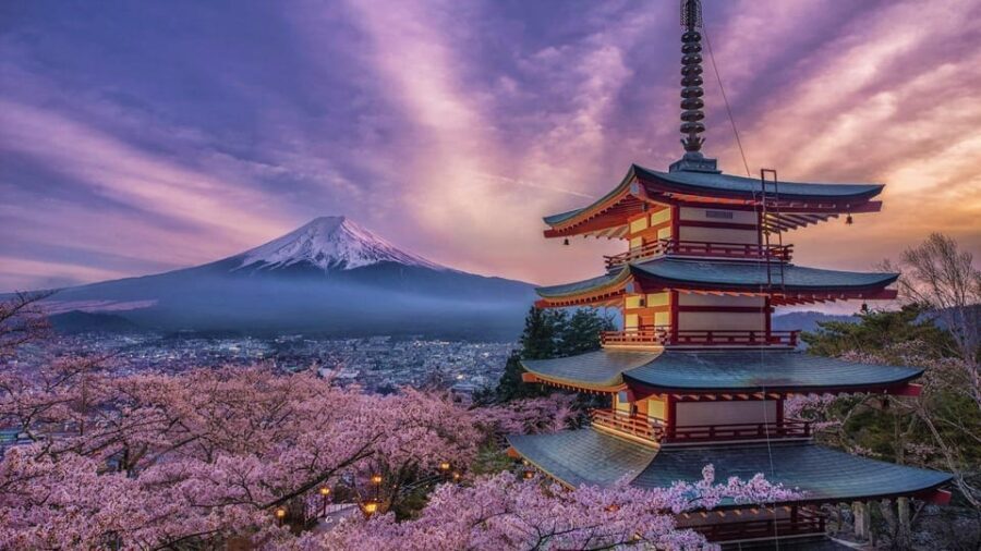 Tokyo: Mount Fuji and Hakone Private Sightseeing Day Tour - Itinerary Breakdown: From Mount Fuji to Hakone