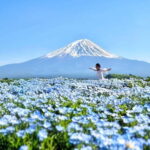 Tokyo: Mount Fuji Day Trip with Scenic & Local Stops - Why This Tour Works for You