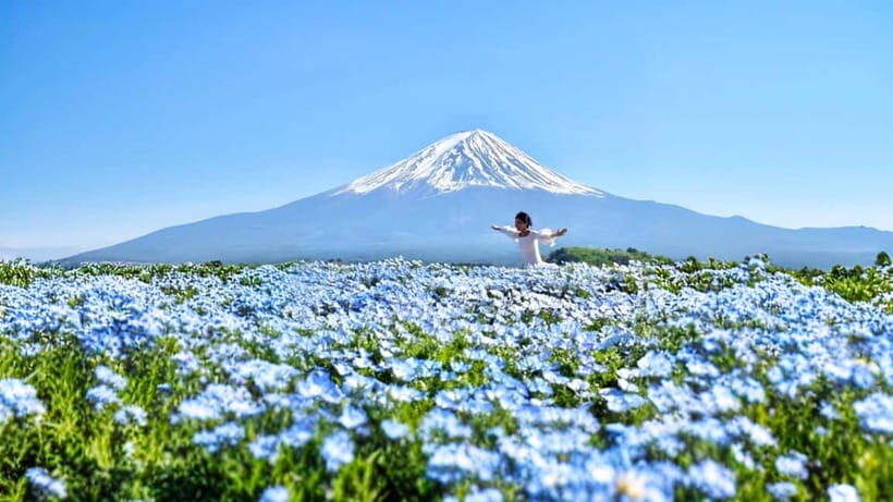 Tokyo: Mount Fuji Day Trip with Scenic & Local Stops - Why This Tour Works for You