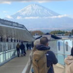 Tokyo: Mount Fuji Private Day Tour Comfortable Pickup & Drop - The Itinerary: What Youll Explore