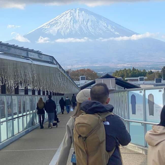Tokyo: Mount Fuji Private Day Tour Comfortable Pickup & Drop - The Itinerary: What Youll Explore