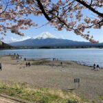 Tokyo: Mount Fuji Private Day Tour With Low Price Guarantee - What This Tour Brings to Your Trip
