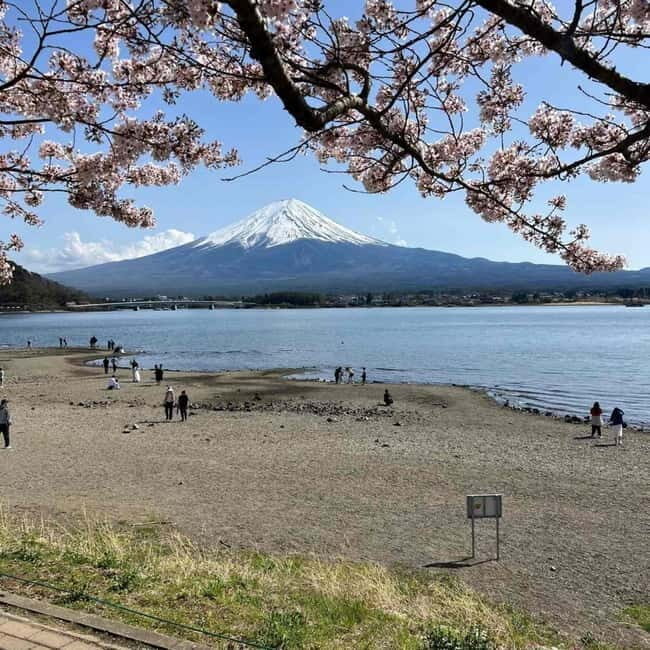 Tokyo: Mount Fuji Private Day Tour With Low Price Guarantee - What This Tour Brings to Your Trip