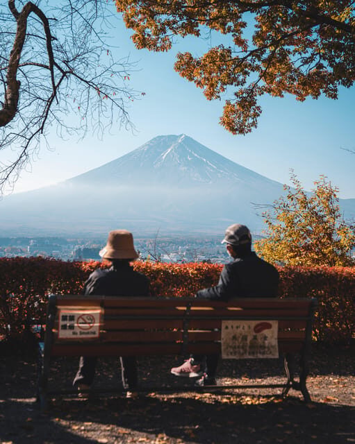 Tokyo: Mount Fuji Private Tour By Car With Hotel Pick Up - Who Will Love This Tour?