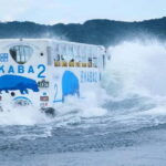 Tokyo: Mount Fuji Views and KABA Amphibious Bus Day Tour - What You Can Expect