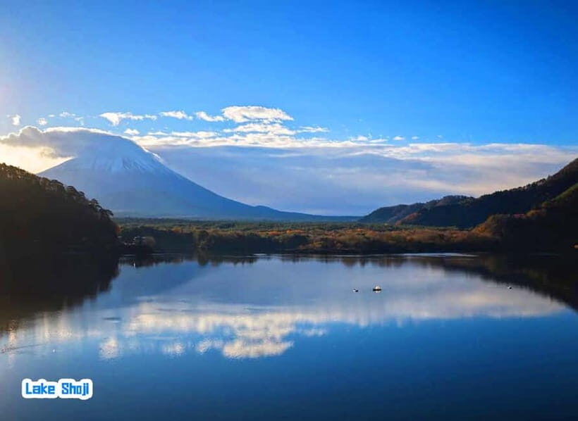 Tokyo: Mt Fuji 3 Lakes Day Trip | 9-Guest Small Group - Detailed Review