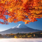Tokyo: Mt. Fuji 5th Station, Kawaguchiko Tour w/ Cable Car - What Travelers Love Most