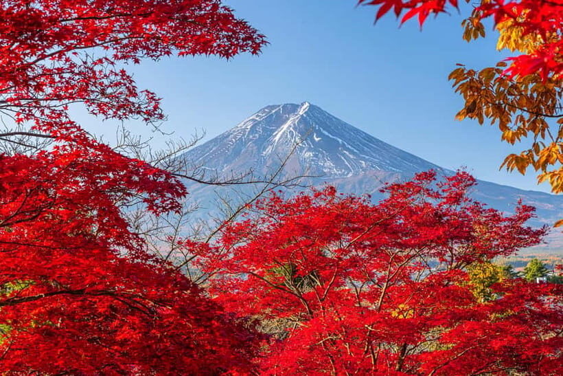 Tokyo: Mt. Fuji, Arakurayama Sengen Park, Oshino Hakkai Tour - Practical Aspects and What You Should Know