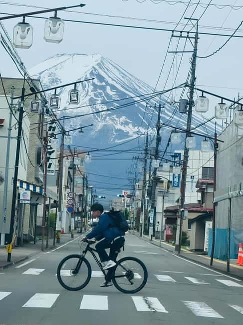 Tokyo: Mt. Fuji & Hakone Private Custom Tour English Driver - Who Will Love This Tour?