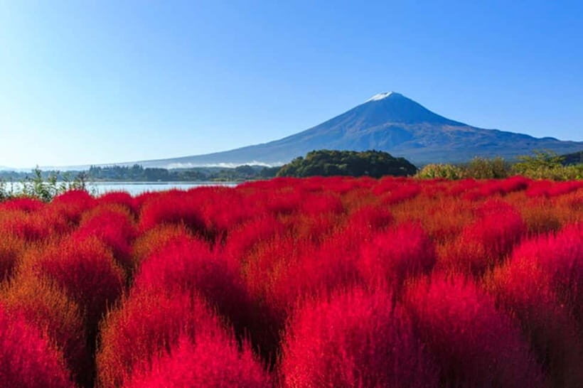 Tokyo: Mt. Fuji & Lake Kawaguchi 3-Row Luxury Bus 1-Day Tour - Why the Experience Offers Great Value