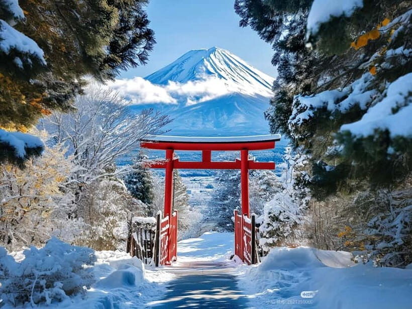 Tokyo: Mt. Fuji & Lake Kawaguchi Instagram Full Day Trip - Who Will Enjoy This Tour?