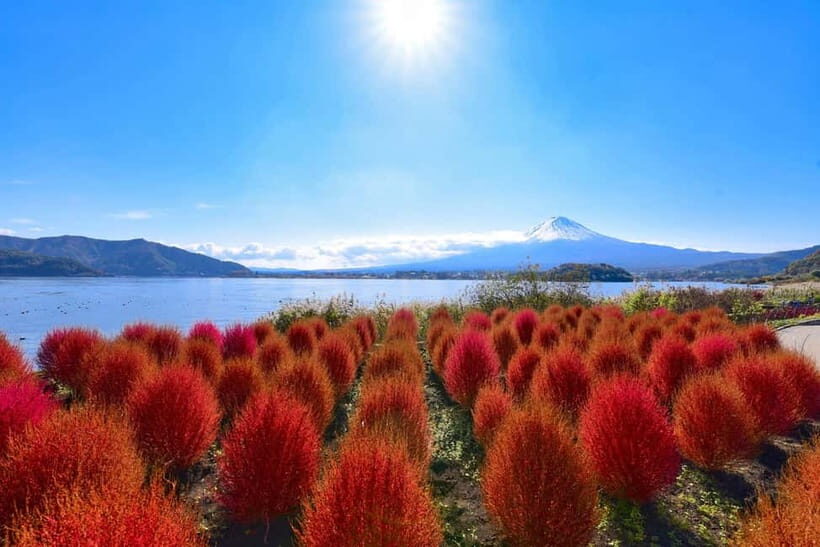 Tokyo: Mt. Fuji, Lake Kawaguchiko Tour without Lunch - A Detailed Look at the Itinerary