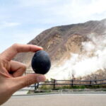 Tokyo: Mt. Fuji, Owakudani, Hakone Shrine, & Open-Air Museum - Authentic Traveler Insights