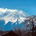 Tokyo: Mt. Fuji Summer Trip 5th Station & Lake Kawaguchi - Price and Value Analysis