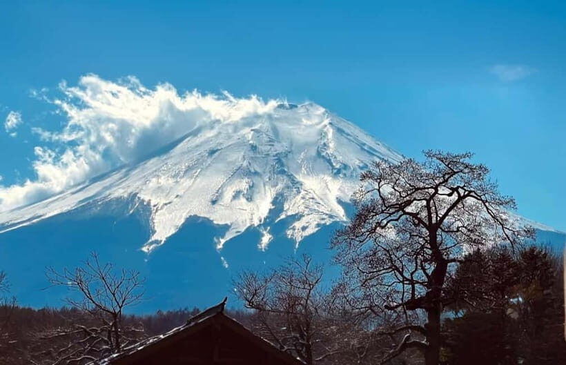 Tokyo: Mt. Fuji Summer Trip 5th Station & Lake Kawaguchi - Price and Value Analysis