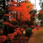 Tokyo: Mt Takao Tour with Ramen and Tattoo-Okay Hot Spring - Exploring the Itinerary in Detail