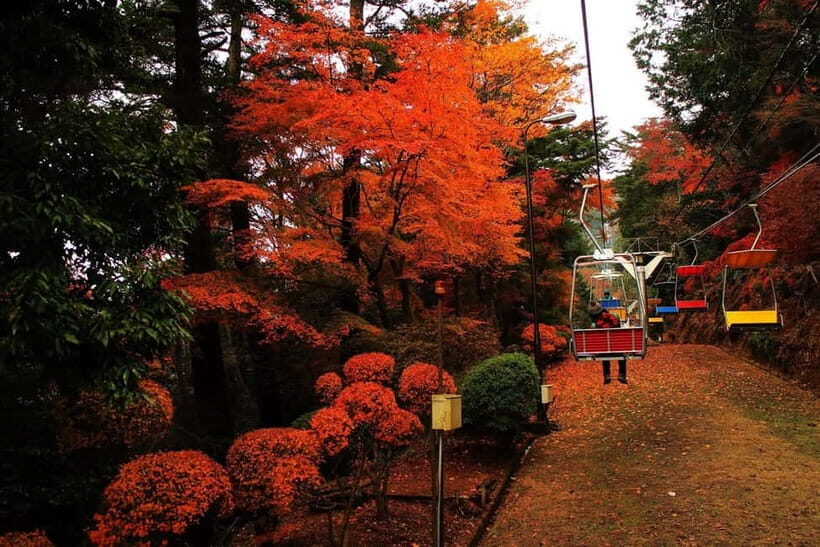 Tokyo: Mt Takao Tour with Ramen and Tattoo-Okay Hot Spring - Exploring the Itinerary in Detail