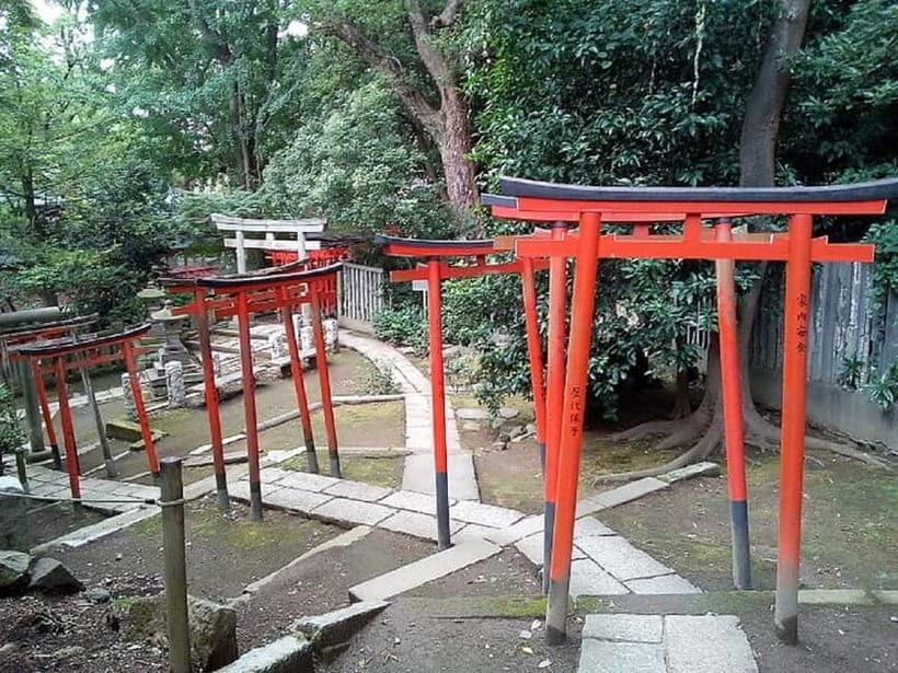 Tokyo: Nezu Shrine Guided Tour with Azalea Festival - The Itinerary in Detail: What You’ll Experience
