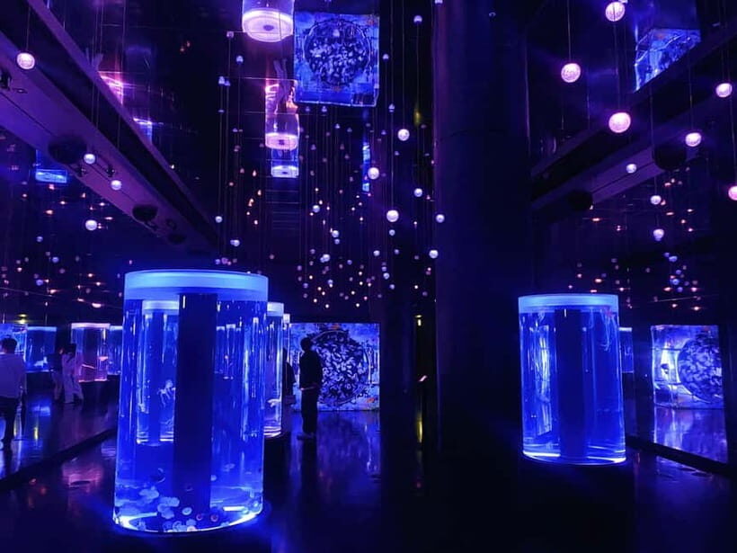 Tokyo : Night E-Bike Tour with Tokyo Tower and Dolphin Show - FAQs