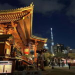 Tokyo Night Tour - The Practicalities: What to Know