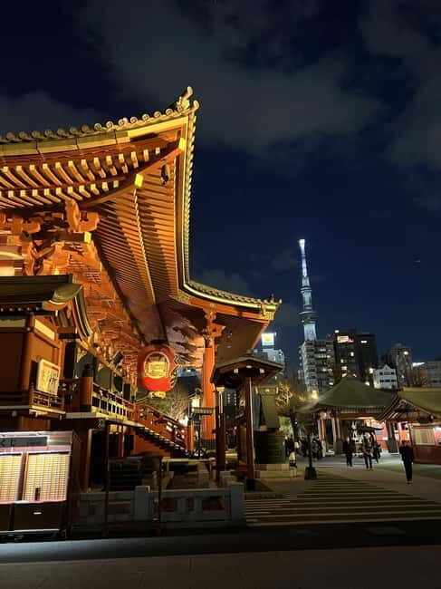 Tokyo Night Tour - The Practicalities: What to Know