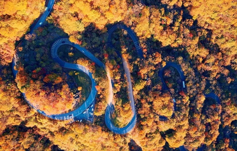 Tokyo: Nikko Autumn Irohazaka, Kegon Falls & Watarase Rail - Why This Tour Offers Great Value
