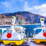 Tokyo : Nikko City Private Luxury Day Tour With Hotel Pickup - Practical Details & Value