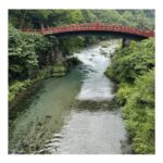 Tokyo: Nikko Kegon Falls Lake Chuzenji Toshogu Temple & More - How the Tour is Organized for You