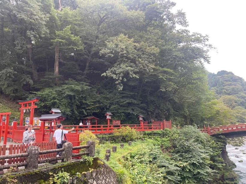 Tokyo: Nikko Private Customize Tour English Driver & Guide - Who Should Consider This Tour?