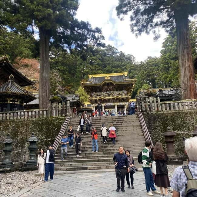 Tokyo: Nikko Private Day Tour Fully Customizeable Low Price - Final Thoughts