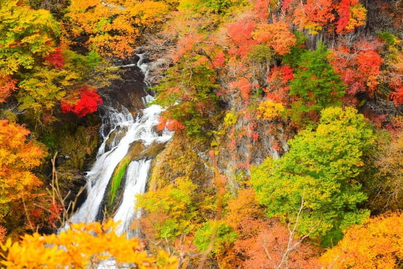 Tokyo: Nikko Private Sightseeing Day Trip with Driver - Highlights of the Tour