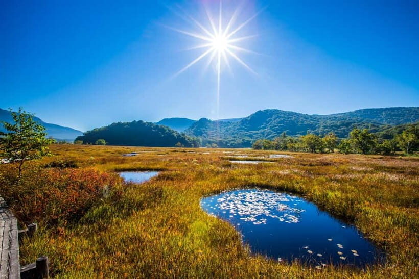 Tokyo: Oze Marshland Hiking Day Trip via Hatomachi Pass - The Practical Side: What to Bring and Consider