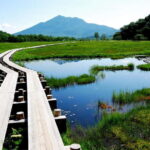 Tokyo: Oze National Park Self-Guided Hike with Overnight Bus - The Practicality of a Self-Guided Day in Oze