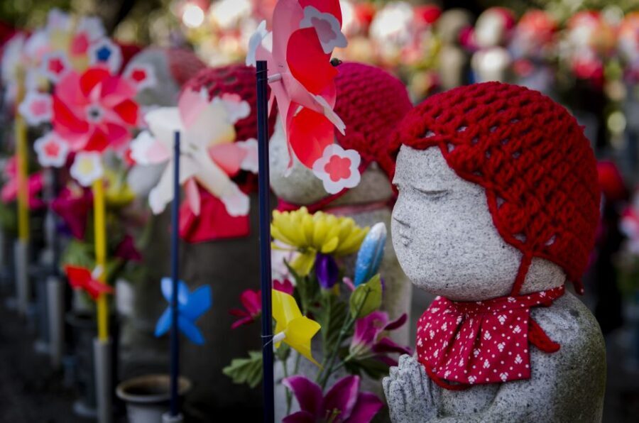 Tokyo: Photography Masterclass - Private Photo Lesson - Learning and Photography Skills