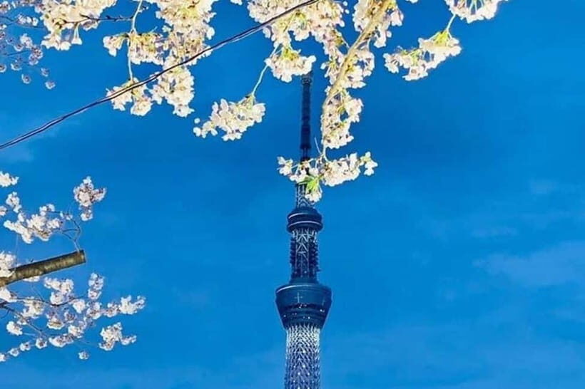 Tokyo: Private Customizable 4-Hour Night Tour - Itinerary Breakdown: What to Expect