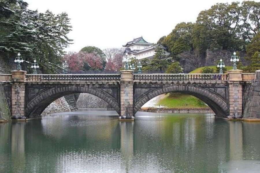 Tokyo: Private Guided Tour with Hotel Pickup and Drop-off - What Makes This Tour Stand Out?