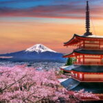 Tokyo: Private Mount Fuji Day Trip with Private Guide - Transportation and Comfort