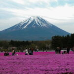 Tokyo: Private Mount Fuji Tour with Pickup and Drop-Off - Transportation and Comfort