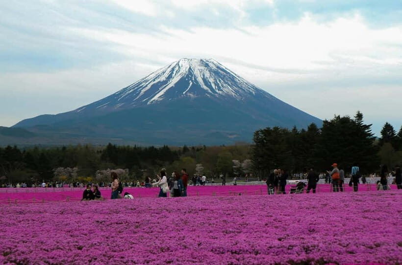 Tokyo: Private Mount Fuji Tour with Pickup and Drop-Off - Transportation and Comfort