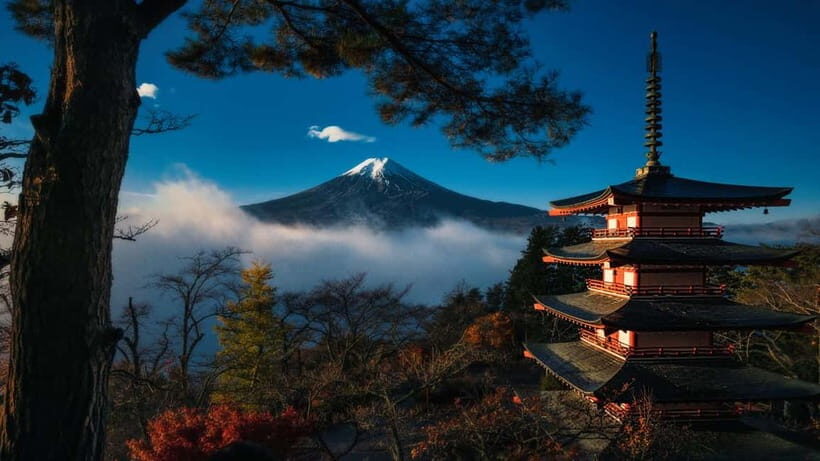 Tokyo: Private Mt. Fuji Tour: Best Views - Local Expert - What You Can Expect from the Itinerary