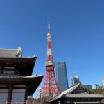 Tokyo: Private Sightseeing Tour by Car with Local Guide - Discovering Tokyo in Comfort: A Deep Dive