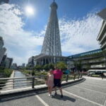 Tokyo: Private Sightseeing Tour English Speaking Driver - Why Choose This Tour?