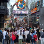 Tokyo Private Tour English Pro Guide By Luxury Vehicle - Who Should Consider This Tour?