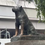 Tokyo: Private Tour of Tokyo - What Makes This Tour Stand Out?