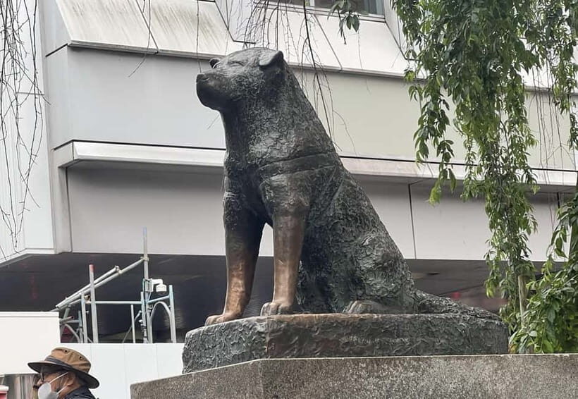Tokyo: Private Tour of Tokyo - What Makes This Tour Stand Out?