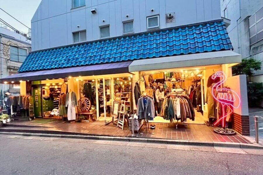 Tokyo: Private Vintage Shopping Tour in near Shibuya - What Makes This Tour Stand Out?