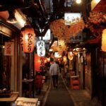 Tokyo: Shinjuku Local Bar and Izakaya Guided Walking Tour - Who Will Appreciate This Tour?
